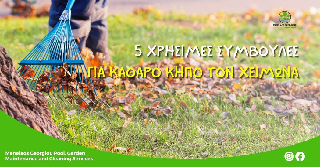 Πώς να Διατηρήσετε Έναν Καθαρό και Υγιή Κήπο τον Χειμώνα - Pafos Press